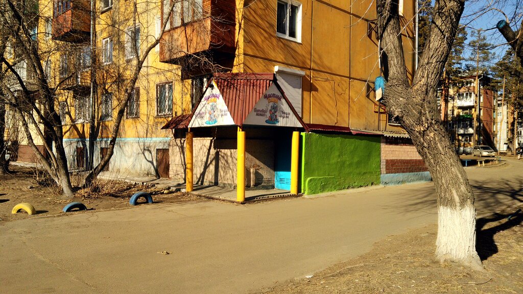 Ev temizlik ürünleri Чистый слон, Angarsk, foto