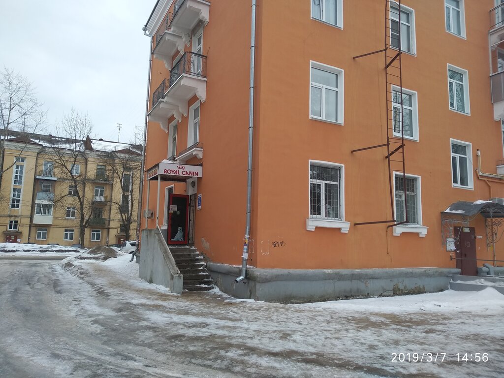 Petshop Кот и пёс, Rybinsk, foto