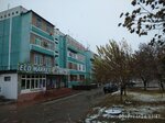 Eco market (Tashkent Region, Almalyk, Oydin hayot ko'chasi), market  Elmalık'tan