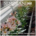 Jardineros Sembrando (Distrito Capital, Municipio Libertador, Calle Argentina), mimari proje firmaları  Buenos Aires'ten