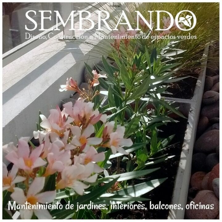 Mimari proje firmaları Jardineros Sembrando, Buenos Aires, foto
