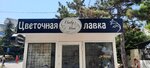 Only you (проспект Генерала Острякова No:71А), çiçekçiler  Sevastopol'dan