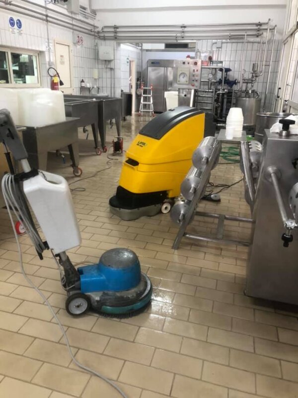 Peyzaj tasarımı Multiservice Impresa di Pulizie Giardinaggio, Campania, foto