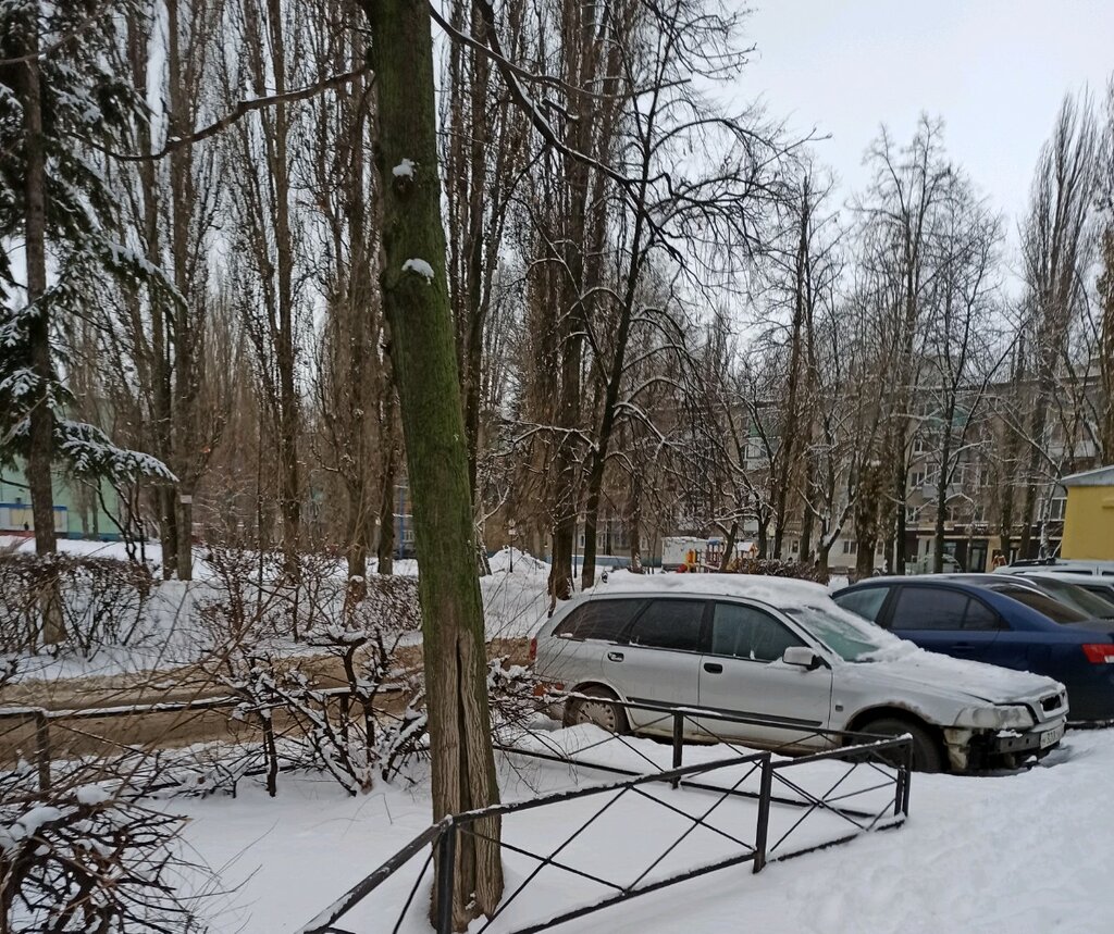 Otoparklar Car park, Voronej, foto