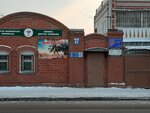Big Travel Tour (Krıvenko kóshesi No:47), uçak ve demiryolu biletleri  Pavlodar'dan