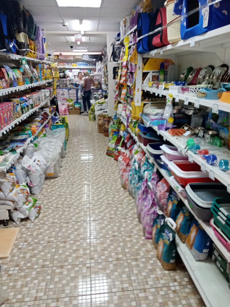 Petshop Котопес, Engels, foto