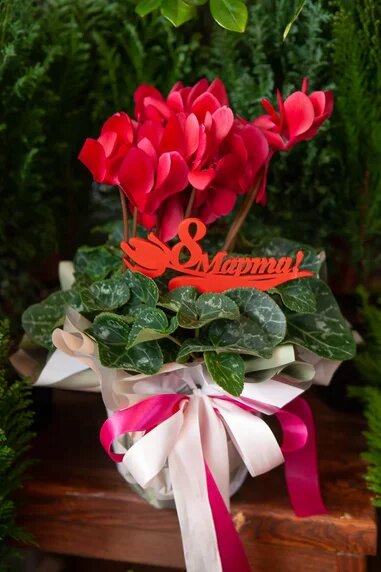 Çiçekçiler Magic Orchid, Moskova, foto