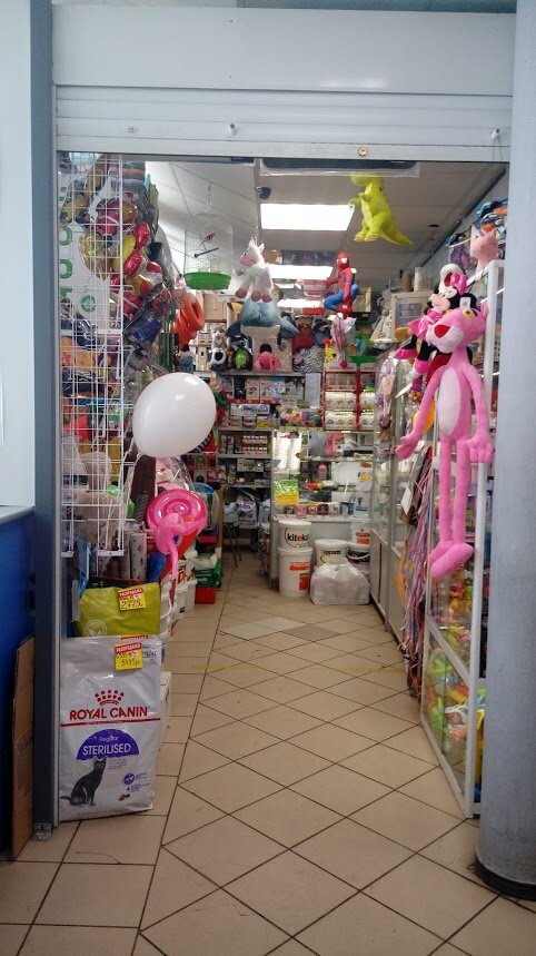 Petshop РРР мяу, Magnitogorsk, foto