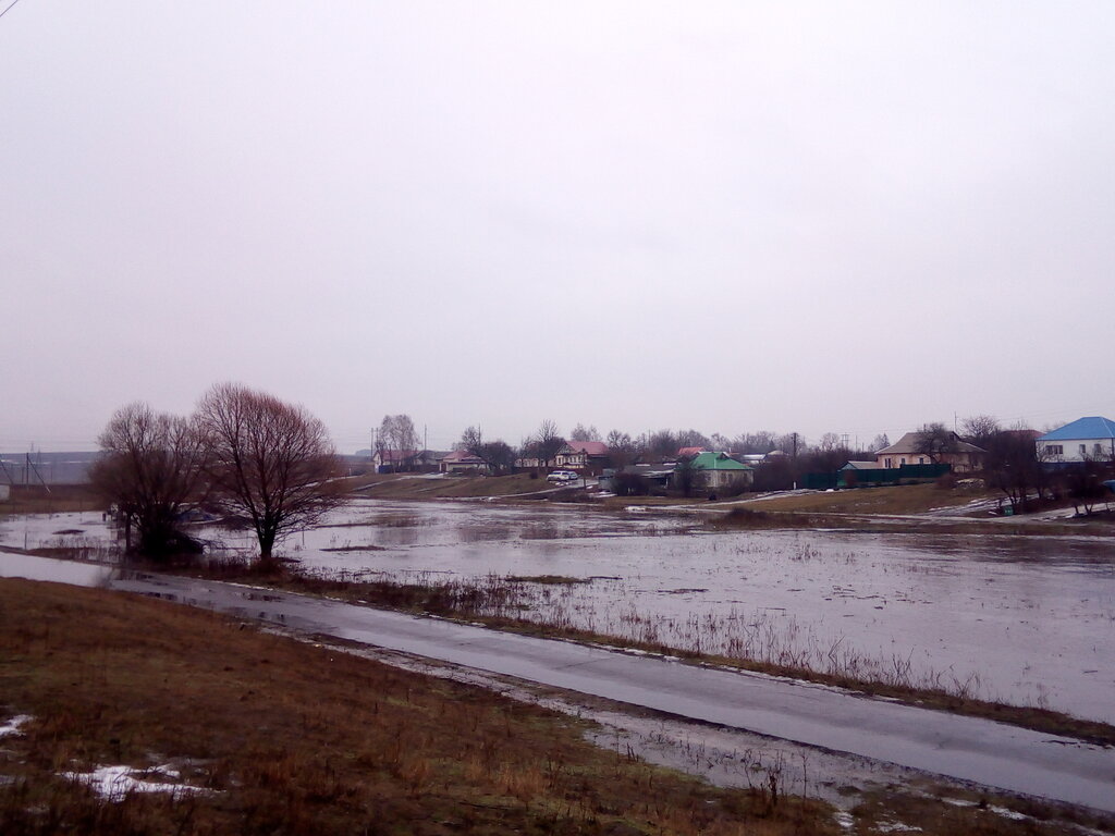 Hayvancılık Песчанский лог, Belgorodskaya oblastı, foto
