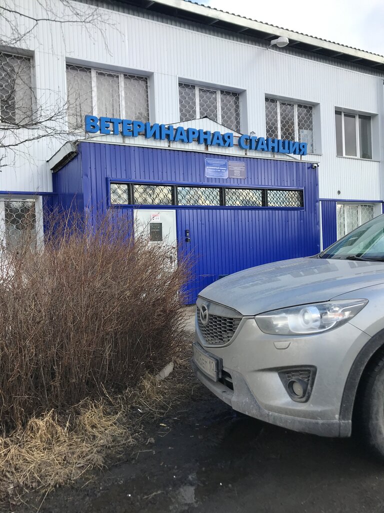 Oto yıkama Bkf Service, Petrozavodsk, foto