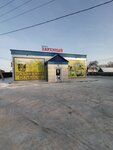 Заречный (Klyuchevaya ulitsa No:1А), market  Mednogorsk'tan