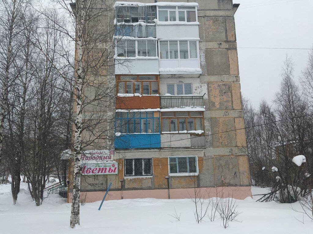 Çiçekçiler Твой букет, Gubaha, foto