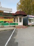 Цветы (ulitsa Pirogova No:42, mikrorayon Novy Posyolok), çiçekçiler  Berdsk'ten