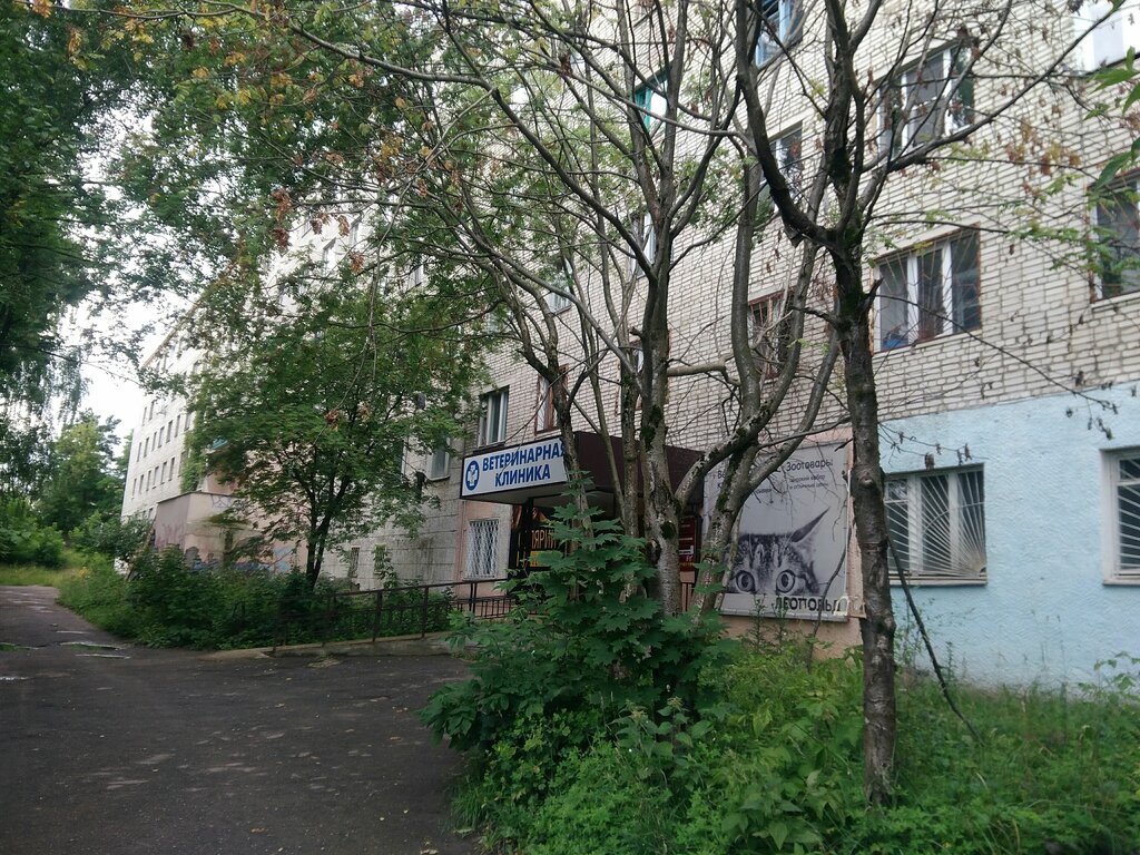Veteriner klinikleri Leopold, klinika, Ip Kovalenko A. A., Aleksin, foto