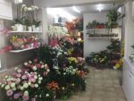 Il Chiosco in Fiore Salamone Bianca Maria (Piedmont, Provincia di Asti, Viale Bianco Don Alfredo), çiçek teslimatı  Asti'den