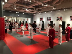 Cosens Martial Arts Mt. Pleasant LLC (Michigan, Isabella County), spor ve eğlence merkezi  Michigan Eyaleti'nden