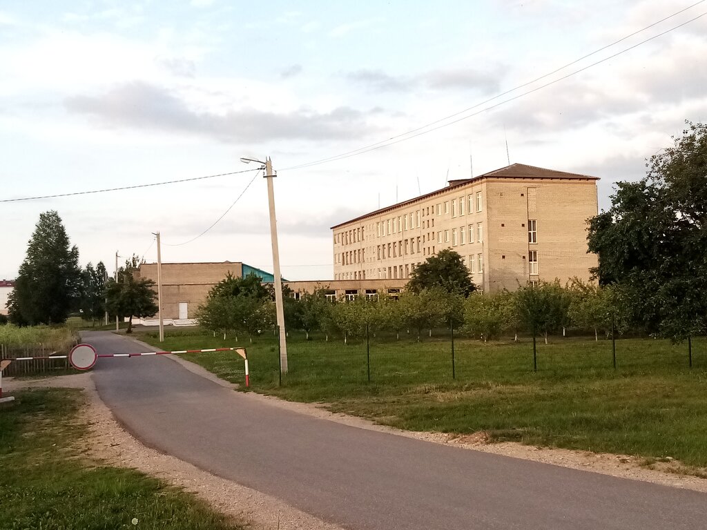 Ortaokul Srednyaya shkola № 1 imeni Z.I. Azgura, Senno, foto