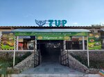 Халял (аллея № 1 No:13), kafe  Şçolkino'dan