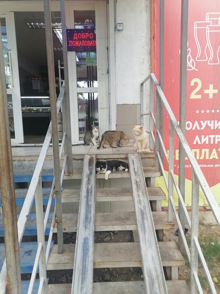 Bira dükkanı Пивной причал, Irkutsk, foto