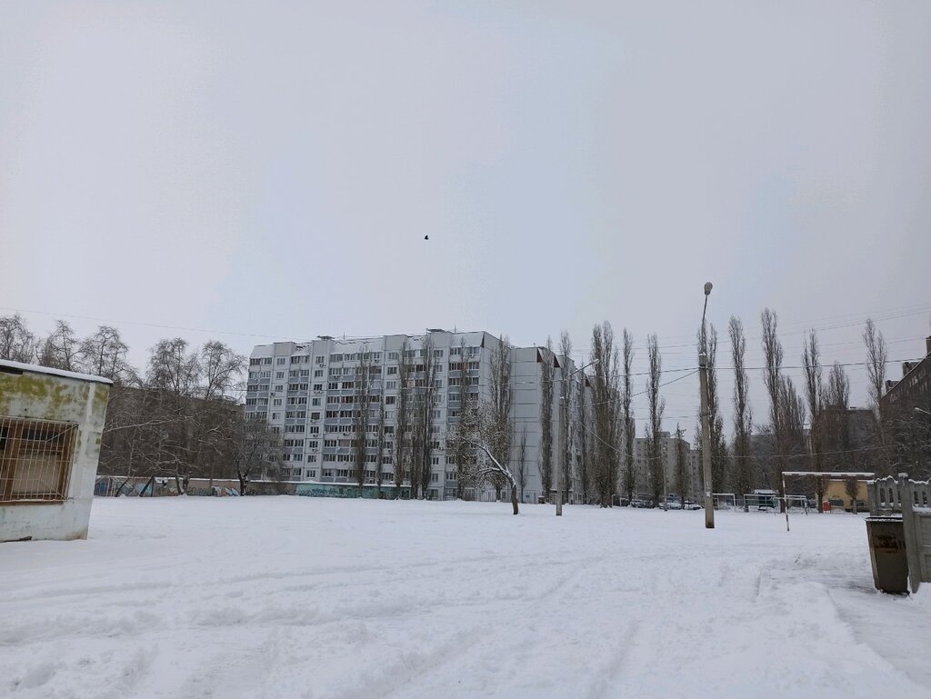 Spor alanı Спортивная площадка, Voronej, foto