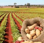 Dealagro (Bolshaya Ordynka Street No:53), toptan gıda mağazaları  Moskova'dan