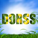 Dorss (Krasnoarmeyskaya Street No:100), spor beslenme  Briansk'tan