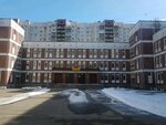 Gymnasium № 293 (Leninskiy Avenue No:94к2, Saint Petersburg), fen lisesi, sosyal bilimler lisesi  Saint‑Petersburg'dan