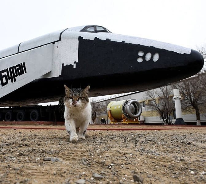 Teknoloji anıtı Flight model of the orbital ship 0.04, Kızılorda eyaleti, foto