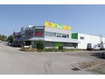 Farben Morscher Pasching (Kremstal Bundesstraße No:5, Traun), boya ekipmanları  Yukarı Avusturya'dan