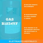 Elettrauto Mario Vestrucci (Tuscany, Arezzo, Viale Michelangelo, 63), petrol ve gaz firması  Toskana'dan