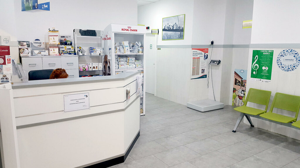 Veteriner klinikleri Clínica Veterinaria Martín Molina, Valensiya, foto