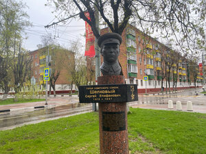 С.Е. Шелковый (Moscow Region, Khimki, Mira Avenue), anıt, heykel  Himki'den
