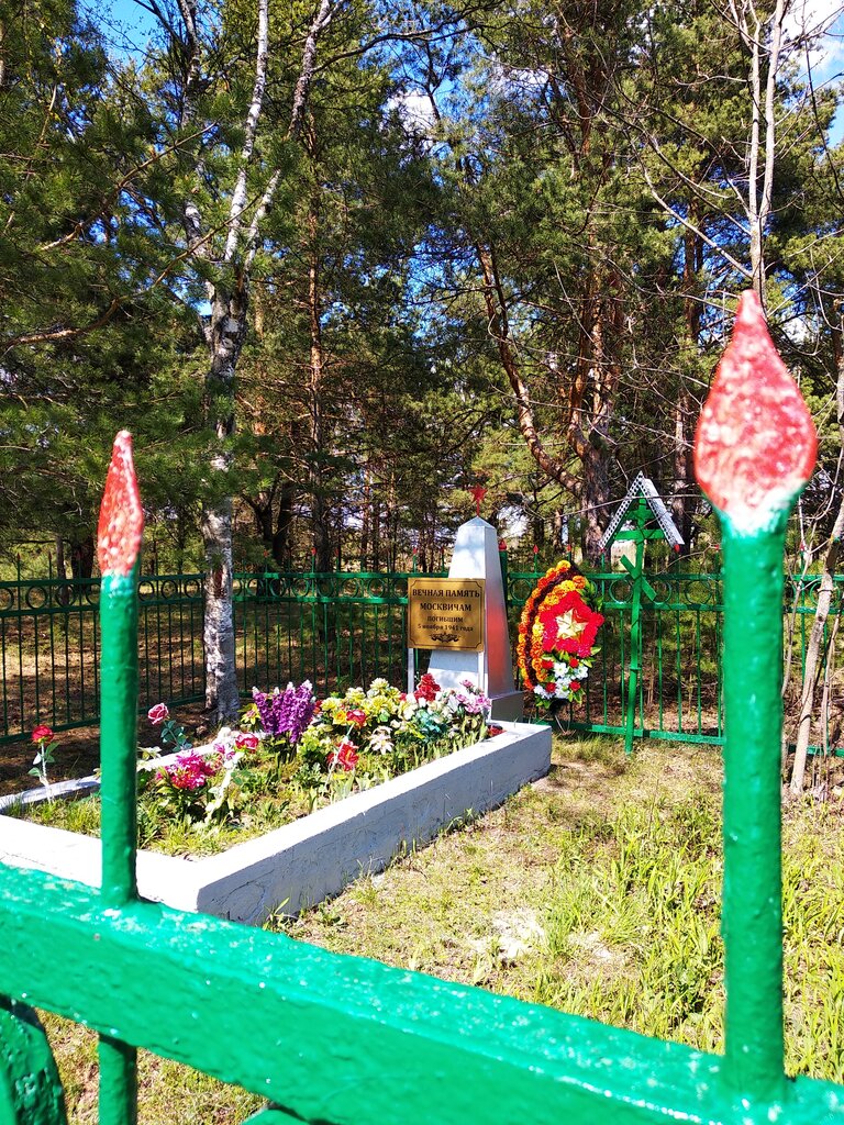 Anıt, heykel Братская могила, Moskova ve Moskovskaya oblastı, foto