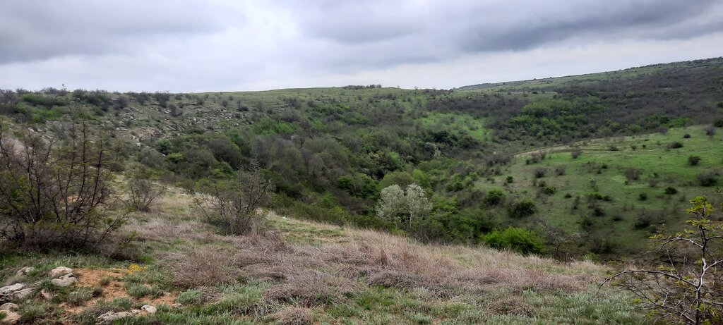Turistik yerler Скифские захоронения, Kırım Cumhuriyeti, foto