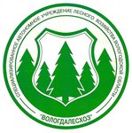 Грязовецкий лесхоз (Lesnaya ulitsa No:5), orman işleri  Gryazovets'ten