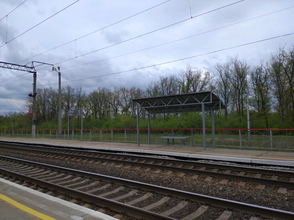 Tren istasyonu 604 km, Voronej, foto