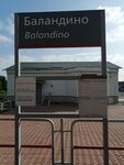 Railway station (Chelyabinsk Region, Krasnoarmeyskiy rayon, Balandinskoye selskoye poseleniye, posyolok zheleznodorozhnaya stantsiya Balandino), tren garları  Çeliabinskaya oblastından