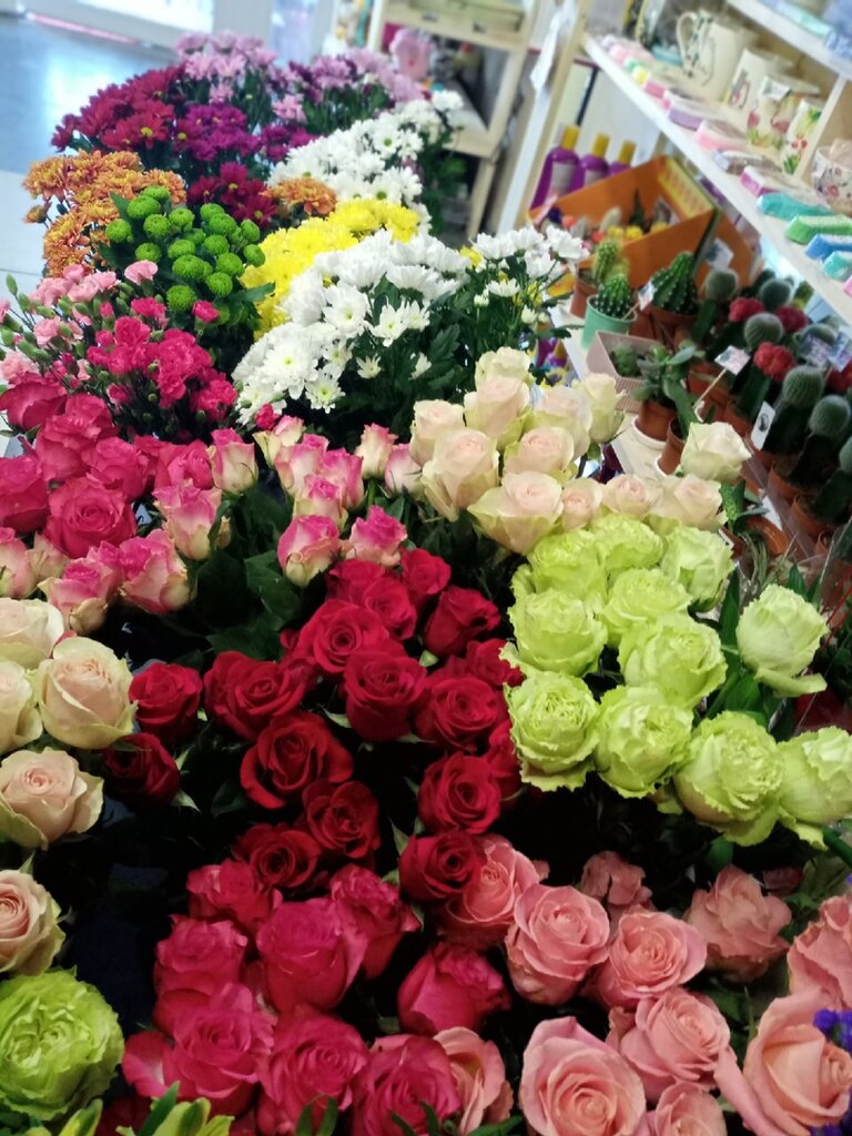 Çiçekçiler Цветы, Salihorsk, foto