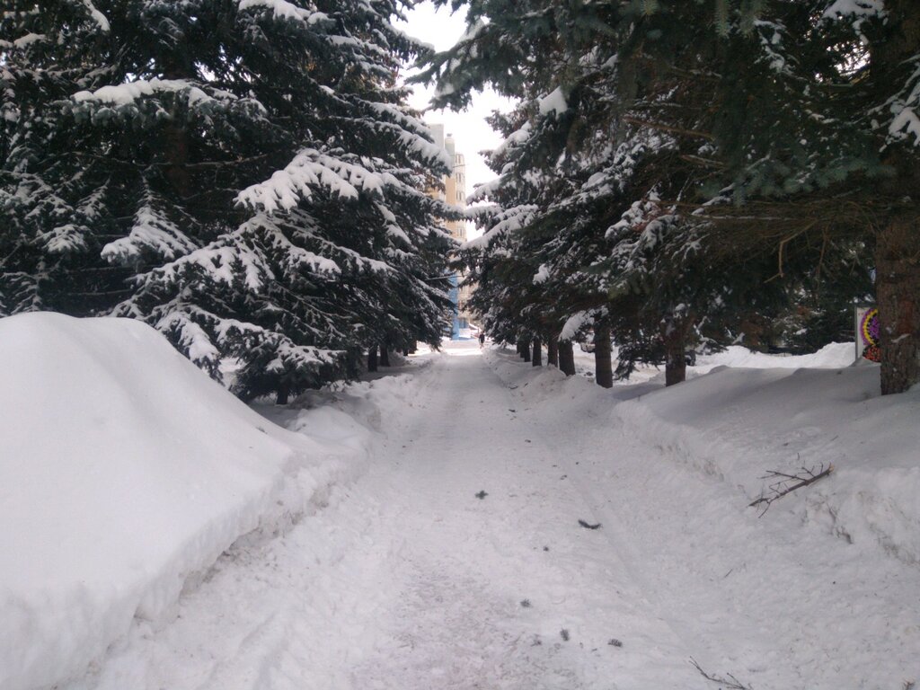 Meydan Сквер Труда, Kaluga, foto