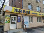 Живое (2nd Krasnodarskaya Street No:149/1), bira dükkanı  Rostov‑na‑Donu'dan