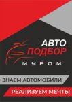 Autopodbor33 (Владимирское шоссе No:1), araba seçimi hizmeti  Murom'dan
