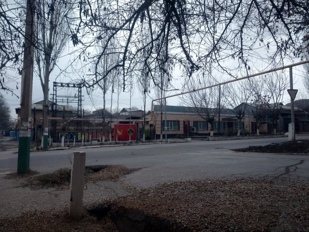 Anaokulları Svetlyachok, Elmalık, foto