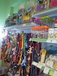 Rudy Mangimi ed Accessori per Animali (Via Michele Scoto No:16, Palermo), petshop  Palermo'dan