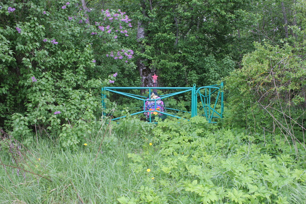 Anıt, heykel Братская могила, Pskovskaya oblastı, foto