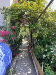 Орхидея (Виноградная улица No:19, село Малореченское), otel  Kırım Cumhuriyeti'nden