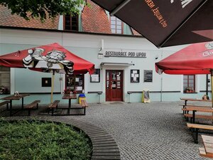 Restaurace pod Lipou (Pardubický kraj, Chrudim, Nasavrky), restoran  Pardubice Bölgesi'den