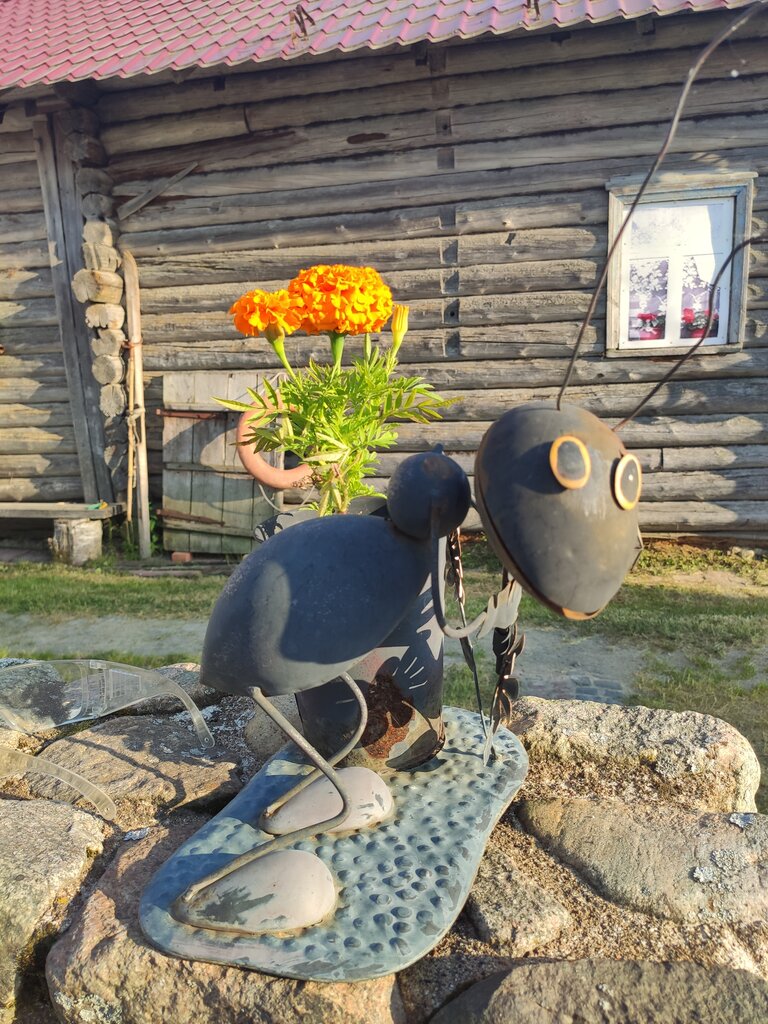 Otel Shuchia Lambushka, Karelya, foto