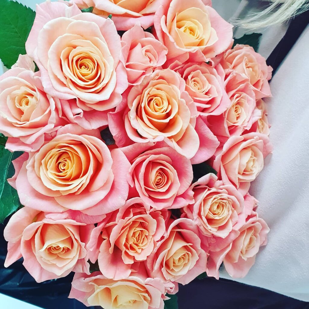 Çiçek teslimatı Магазин цветов Бамбук, Samara, foto