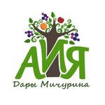 Dary Michurina (Kirsanovskaya ulitsa No:23), fidan yetiştiriciliği  Miçurinsk'ten