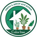 Color Line (Nikulinskaya Street No:31), i̇ç dekorasyon ürünleri  Moskova'dan